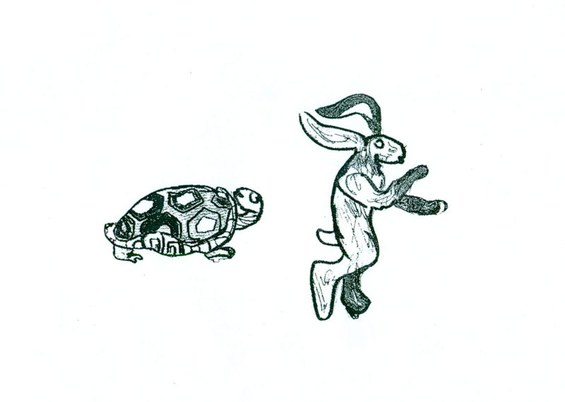 The Rabbit and the Turtle: ESL Lesson One: Similarities and Differences ...