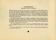 cocomixtle 2 - Don YortyDon Yorty