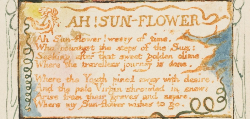 I sing "Ah! Sunflower" by William Blake accompanied by 13 Paintings of ...