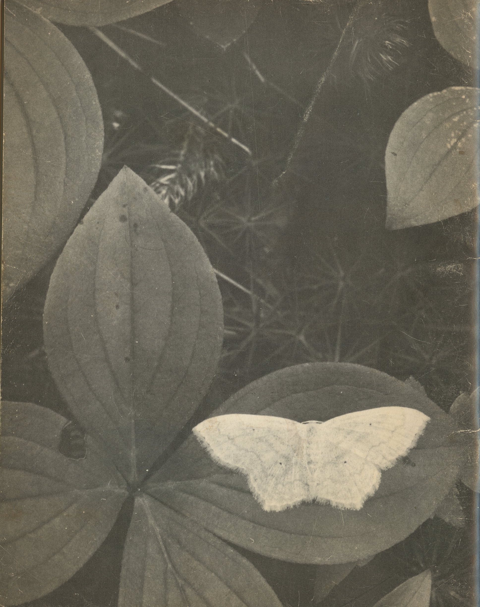 Edwin Denby reads from Snoring in New York - Don YortyDon Yorty