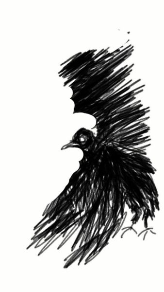 Drawings by Arup Datta - Don YortyDon Yorty