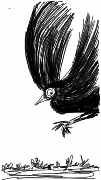 Drawings by Arup Datta - Don YortyDon Yorty